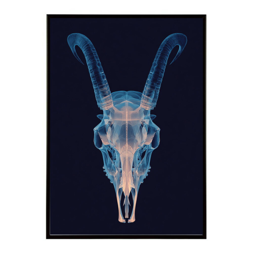 2026/01/09 更新ショップトップ&nbsp;>&nbsp;カテゴリトップ&nbsp;>&nbsp;ポスターのデザインで探す&nbsp;>&nbsp;ドクロ・スカル&nbsp;>&nbsp;ゴートヘッド&nbs...