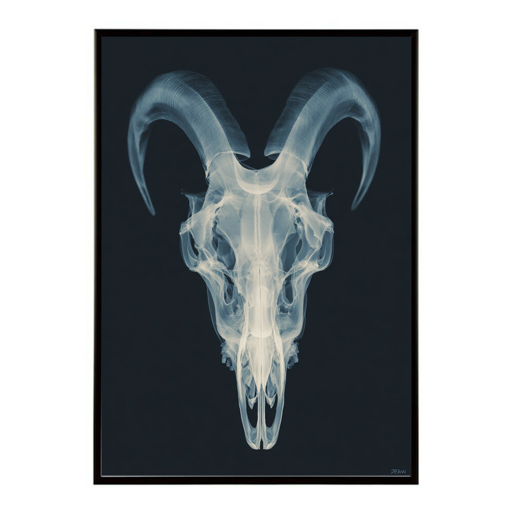 【EFPIのポスターについて】 ポスター専門店の提案力が自慢です。取扱数は業界一を目指しています。個人の方はもちろん、デベロッパーや不動産、インテリアデザイナー等のプロの方にも選ばれています。カスタマイズポスターとして、4つの選べる個性ある...