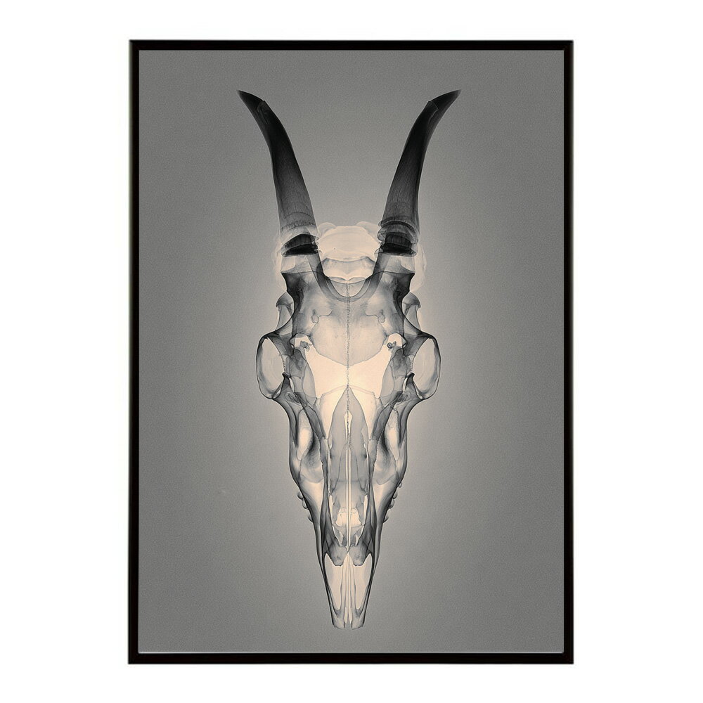 【EFPIのポスターについて】 ポスター専門店の提案力が自慢です。取扱数は業界一を目指しています。個人の方はもちろん、デベロッパーや不動産、インテリアデザイナー等のプロの方にも選ばれています。カスタマイズポスターとして、4つの選べる個性ある...