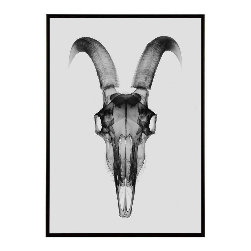 2026/01/09 更新ショップトップ&nbsp;>&nbsp;カテゴリトップ&nbsp;>&nbsp;ポスターのデザインで探す&nbsp;>&nbsp;ドクロ・スカル&nbsp;>&nbsp;ゴートヘッド&nbs...