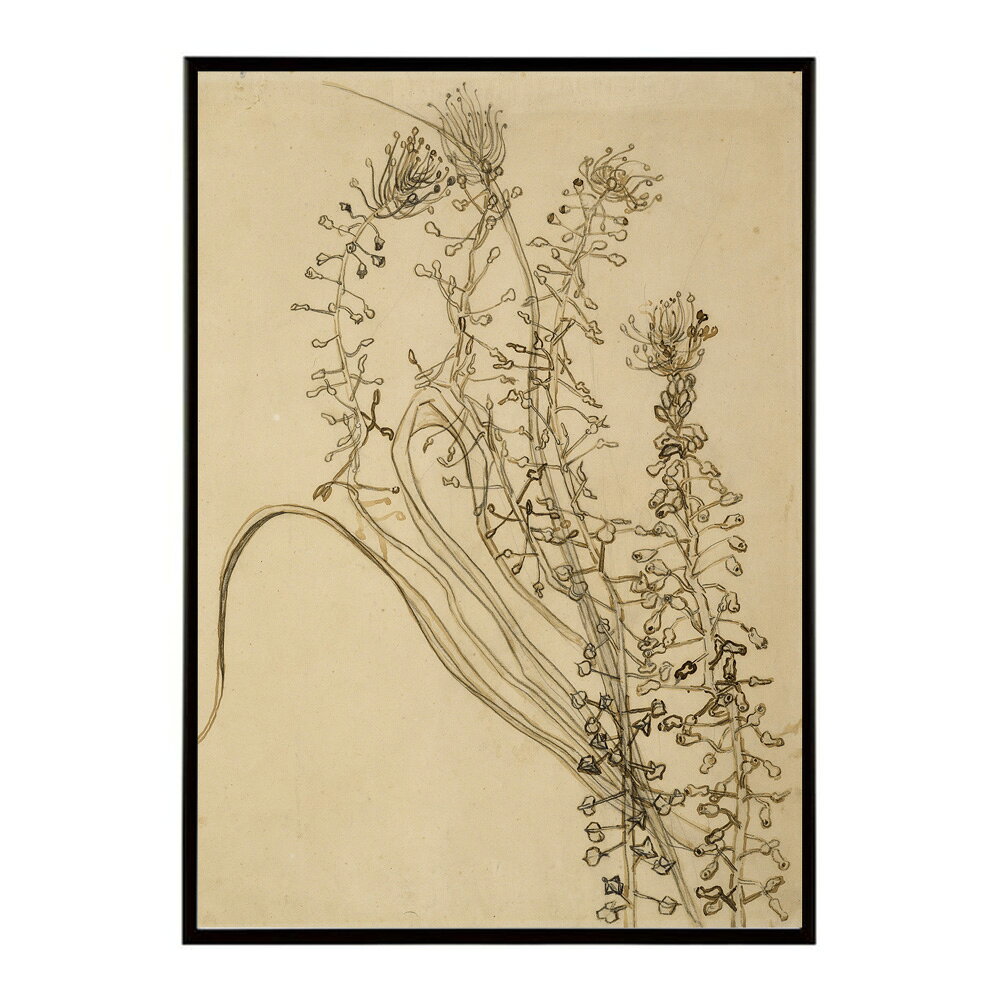 【EFPIのポスターについて】 ポスター専門店の提案力が自慢です。取扱数は業界一を目指しています。個人の方はもちろん、デベロッパーや不動産、インテリアデザイナー等のプロの方にも選ばれています。カスタマイズポスターとして、4つの選べる個性ある...