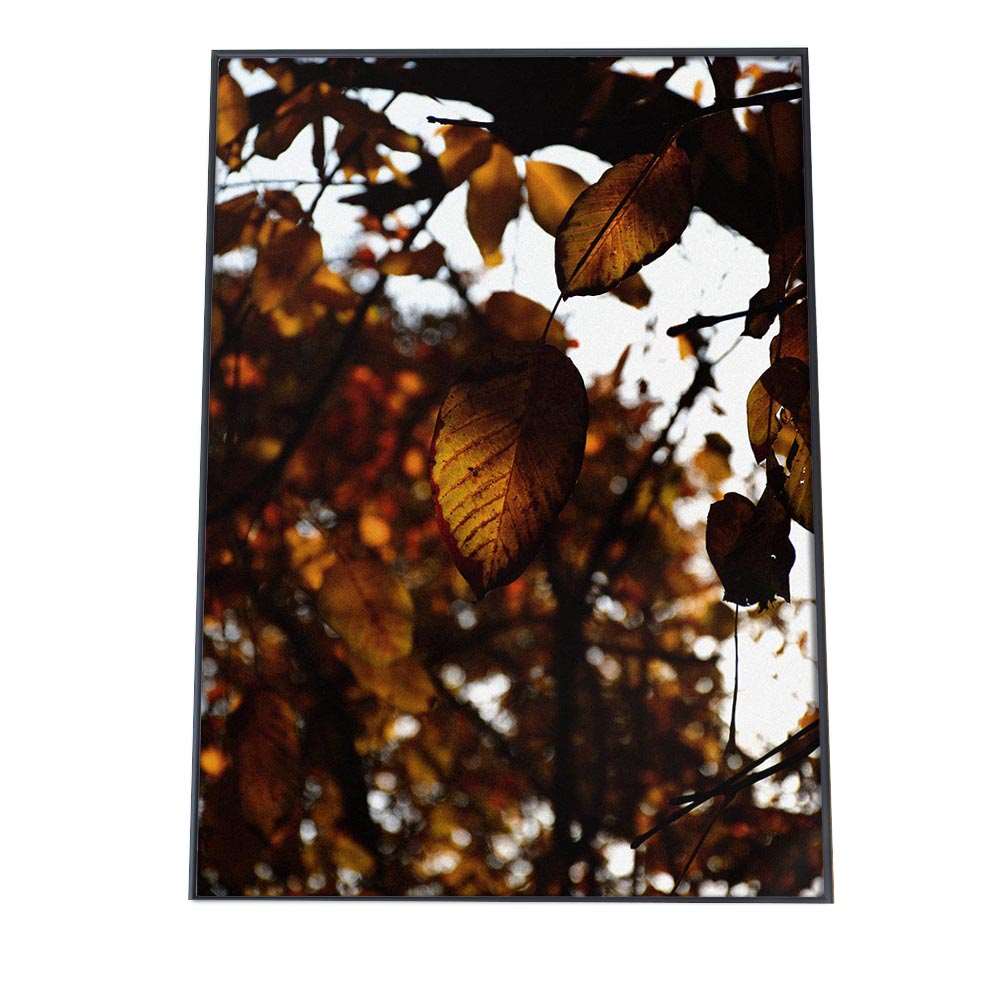 2026/01/09 更新ショップトップ&nbsp;>&nbsp;カテゴリトップ&nbsp;>&nbsp;ポスターの縦・横・正方形で探す&nbsp;>&nbsp;縦向き（長方形）【EFPIのポスターについて】 ポスター専門...