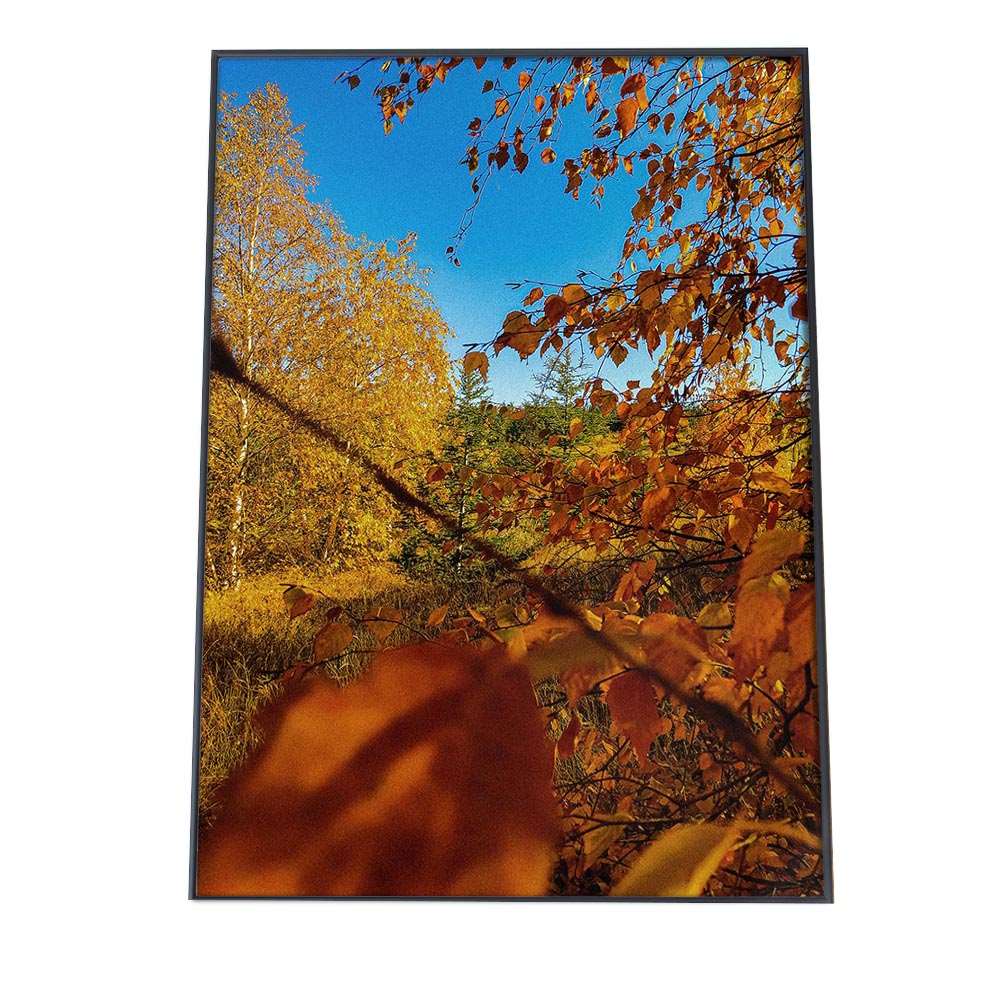 【EFPIのポスターについて】 ポスター専門店の提案力が自慢です。取扱数は業界でもトップクラス。 さまざまなインテリアに提案できる洗練された デザインポスターを揃えたファッションポスター。 【取り扱いデザイン】 ポスターの作成者は有名アパレ...