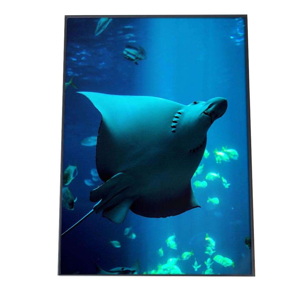 2026/01/11 更新ショップトップ&nbsp;>&nbsp;カテゴリトップ&nbsp;>&nbsp;ポスターの縦・横・正方形で探す&nbsp;>&nbsp;縦向き（長方形）【EFPIのポスターについて】 ポスター専門...