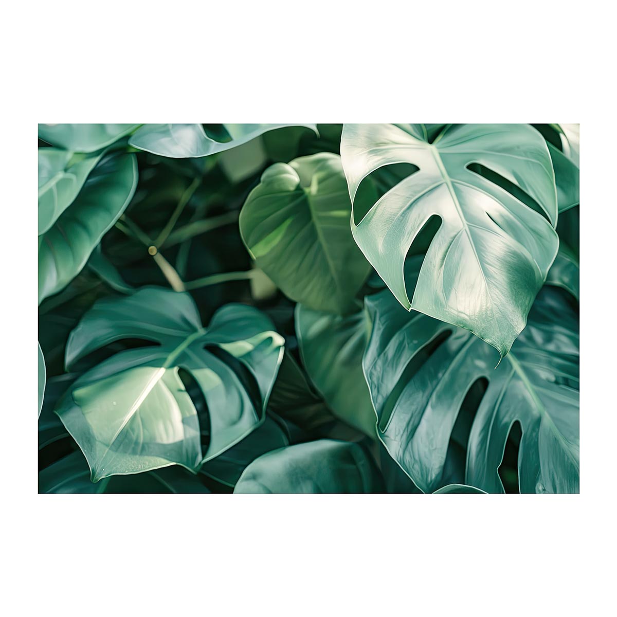 2026/01/07 更新ショップトップ&nbsp;>&nbsp;カテゴリトップ&nbsp;>&nbsp;ポスターの縦・横・正方形で探す&nbsp;>&nbsp;横向き（長方形）【EFPIのポスターについて】 ポスター専門...