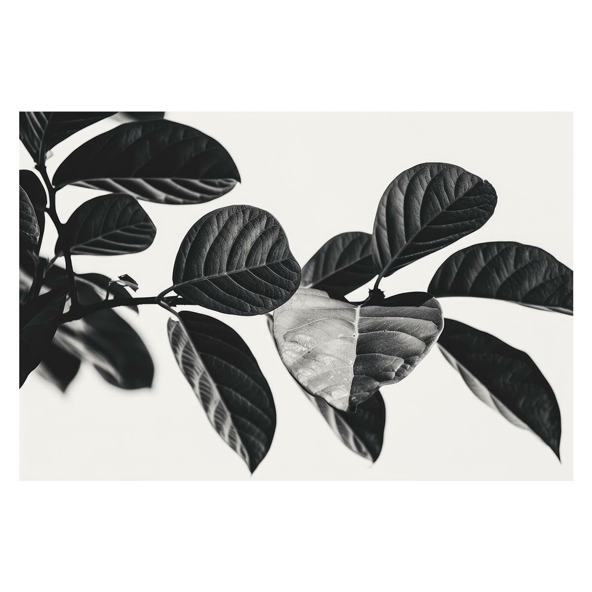 2026/01/09 更新ショップトップ&nbsp;>&nbsp;カテゴリトップ&nbsp;>&nbsp;ポスターの縦・横・正方形で探す&nbsp;>&nbsp;横向き（長方形）【EFPIのポスターについて】 ポスター専門...