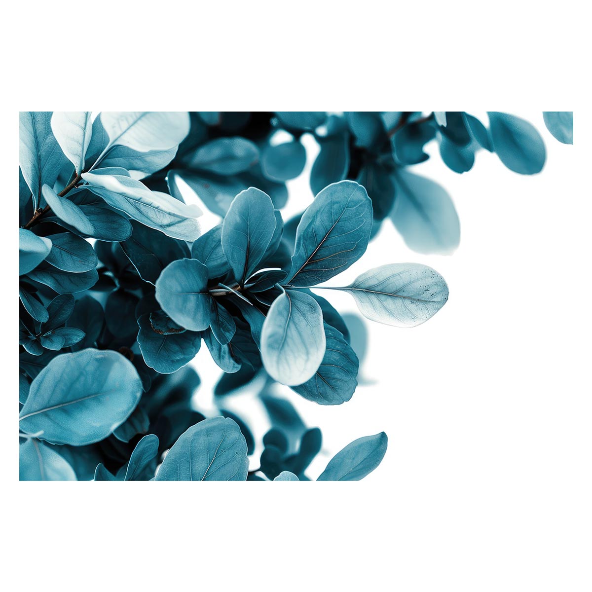 【EFPIのポスターについて】 ポスター専門店の提案力が自慢です。取扱数は業界一を目指しています。個人の方はもちろん、デベロッパーや不動産、インテリアデザイナー等のプロの方にも選ばれています。カスタマイズポスターとして、4つの選べる個性ある...