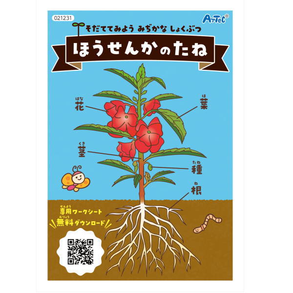 ほうせんかを育てるセット！ワークシートをダウンロードして成長の記録が取れる！ 種に付属するテキストからワークシートをダウンロードして成長の記録が取れます。 商品サイズ（単位mm)：84×139mm セット内容：花の種　ホウセンカ×1 1個重...