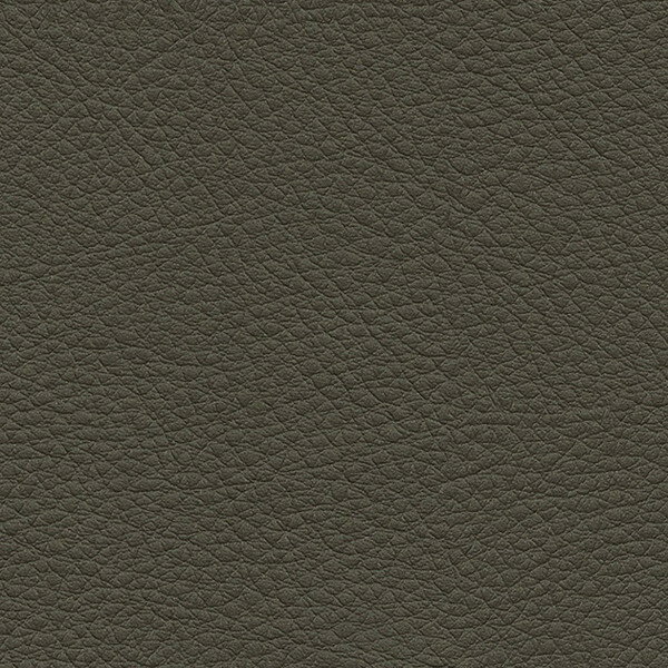 施工性、機能性を備えた定番ビニルレザー。150色の豊富なカラーバリエーションで、幅広いシーンにご使用いただけます。 機能:水や中性洗剤等で汚れの落ちやすい商品です。 表面に付着した細菌の増殖を抑制する効果があります。 日本自動車車体工業会に...