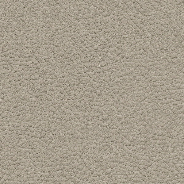 施工性、機能性を備えた定番ビニルレザー。150色の豊富なカラーバリエーションで、幅広いシーンにご使用いただけます。 機能:水や中性洗剤等で汚れの落ちやすい商品です。 表面に付着した細菌の増殖を抑制する効果があります。 日本自動車車体工業会に...