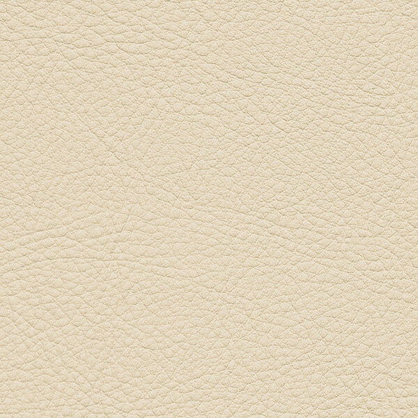 施工性、機能性を備えた定番ビニルレザー。150色の豊富なカラーバリエーションで、幅広いシーンにご使用いただけます。 機能:水や中性洗剤等で汚れの落ちやすい商品です。 表面に付着した細菌の増殖を抑制する効果があります。 日本自動車車体工業会に...