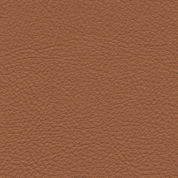 施工性、機能性を備えた定番ビニルレザー。150色の豊富なカラーバリエーションで、幅広いシーンにご使用いただけます。 機能:水や中性洗剤等で汚れの落ちやすい商品です。 表面に付着した細菌の増殖を抑制する効果があります。 日本自動車車体工業会に...