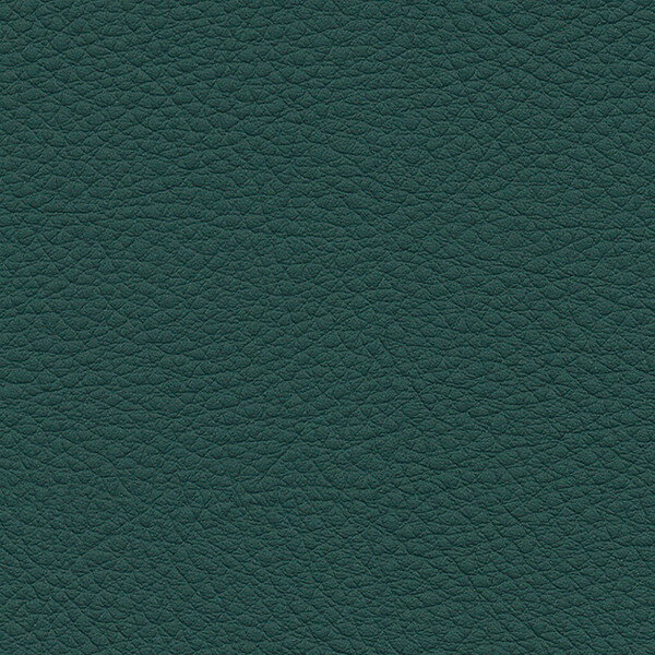 有効巾137cmの無地シリーズのビニルレザー。 機能:水や中性洗剤等で汚れの落ちやすい商品です。 表面に付着した細菌の増殖を抑制する効果があります。 日本自動車車体工業会に難燃性素材として登録された商品です。 アルコール系薬剤のメンテナンス...