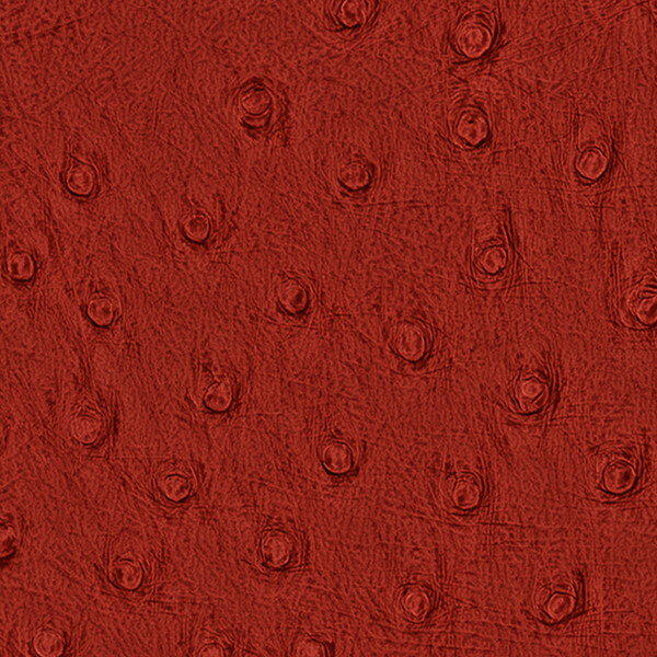 オーストリッチの質感を再現した商品です。 機能:表面に付着した細菌の増殖を抑制する効果があります。 日本自動車車体工業会に難燃性素材として登録された商品です。 アルコール系薬剤のメンテナンスに強い商品です。 塩素系薬剤のメンテナンスに強い商...