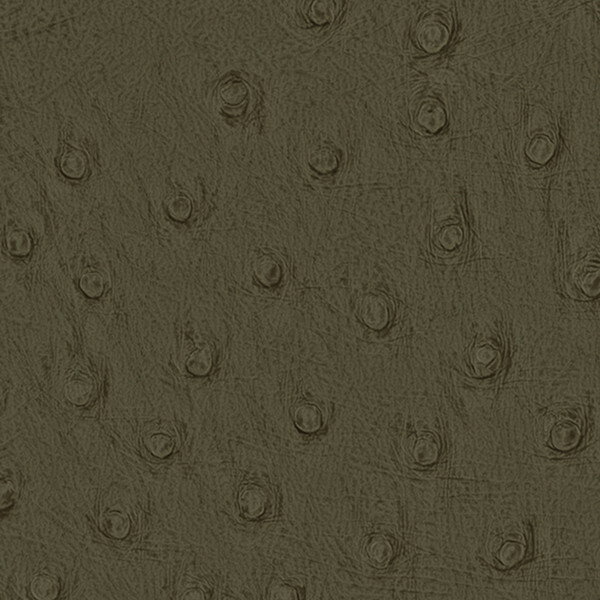 オーストリッチの質感を再現した商品です。 機能:表面に付着した細菌の増殖を抑制する効果があります。 日本自動車車体工業会に難燃性素材として登録された商品です。 アルコール系薬剤のメンテナンスに強い商品です。 塩素系薬剤のメンテナンスに強い商...