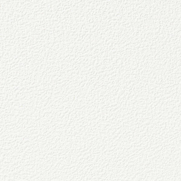 機能:日本工業規格JIS適合品です。 壁紙工業会により制定された、自主安全規格の基準をクリアしている商品です。 建築基準法に基づく、ホルムアルデヒドの発散を抑えた商品です。 表面に付着した細菌の増殖を抑制する効果があります。 法定不燃石こう...