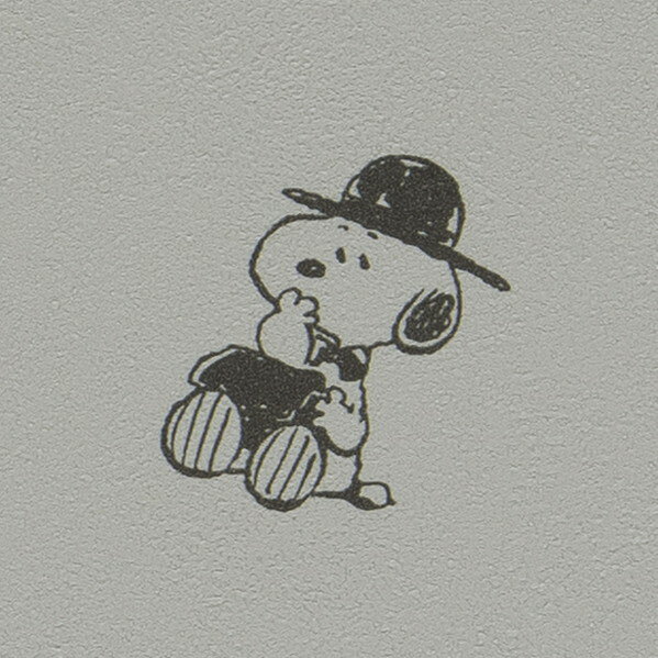 パイロットや野球選手など、さまざまな格好をしたスヌーピーを楽しめるパターンです。 機能:日本工業規格JIS適合品です。 壁紙工業会により制定された、自主安全規格の基準をクリアしている商品です。 建築基準法に基づく、ホルムアルデヒドの発散を抑...