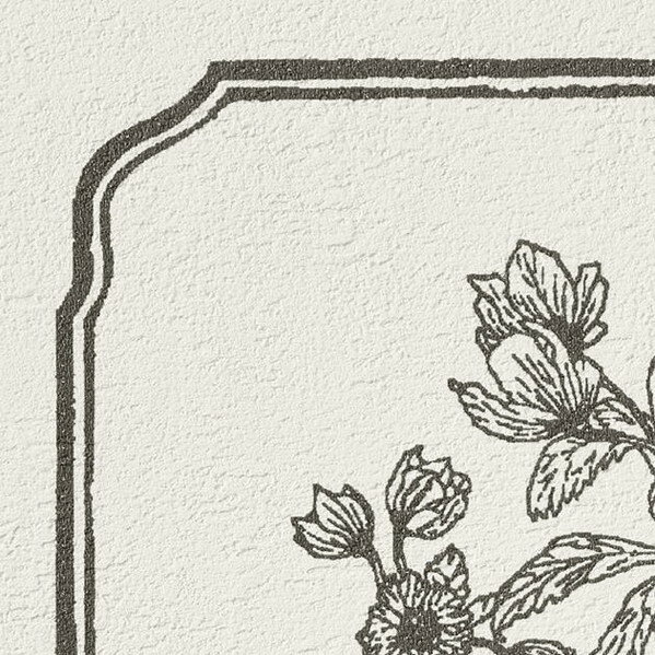 消しゴムはんこ作家HUTTE.さんによる繊細なボタニカルアートを壁紙にしました。 機能:日本工業規格JIS適合品です。 壁紙工業会により制定された、自主安全規格の基準をクリアしている商品です。 建築基準法に基づく、ホルムアルデヒドの発散を抑...