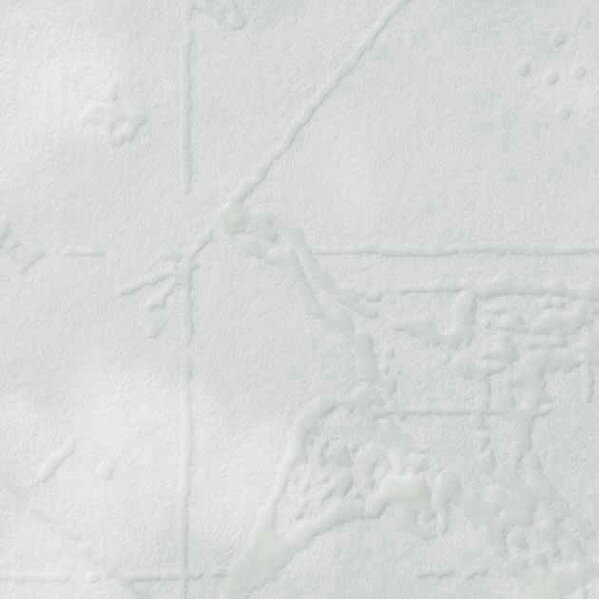 通常は大人しい雲の柄。光ると天体の星座がパターン化されて浮き出てきます。 機能:日本工業規格JIS適合品です。 壁紙工業会により制定された、自主安全規格の基準をクリアしている商品です。 建築基準法に基づく、ホルムアルデヒドの発散を抑えた商品...