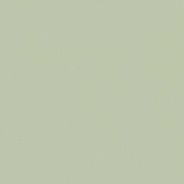 マットな質感ときめ細かい肌触りにこだわった壁紙。美しく絶妙なニュアンスカラーが、生活をやさしく彩ります。 機能:日本工業規格JIS適合品です。 壁紙工業会により制定された、自主安全規格の基準をクリアしている商品です。 建築基準法に基づく、ホ...