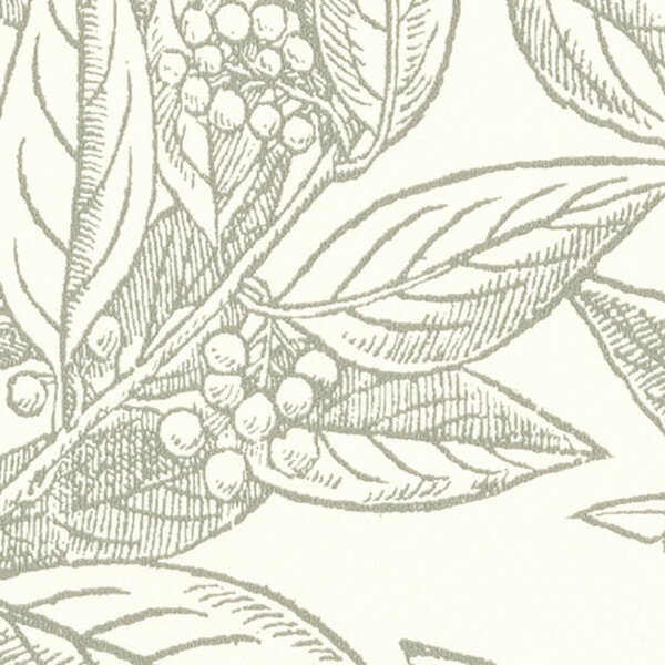 少しレトロな印象の、線描のリーフ柄。クラシックな空間を演出します。 機能:日本工業規格JIS適合品です。 壁紙工業会により制定された、自主安全規格の基準をクリアしている商品です。 建築基準法に基づく、ホルムアルデヒドの発散を抑えた商品です。...