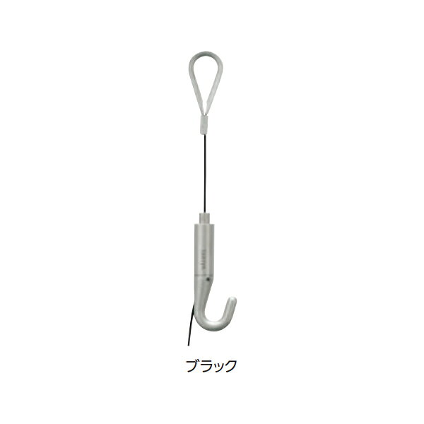 タチカワブラインドのピクチャーレールに使用できるハンガーセットです。 対象：タチカワ　VP-1A／VP-20シリーズ 材質 ワイヤー：ステンレス（SUS304） ハンガー：亜鉛ダイキャスト ※「ホワイト」「ブラック」はワイヤー部分のみがホワ...