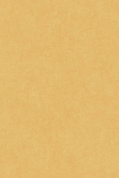 品番：NOVA82182317 品目：壁紙 規格：53cm×10m リピート：0cm or 53cmステップ柄 材質：(表)塩化ビニール　(裏)不織布 防火性能：不燃 シックハウス基準：F☆☆☆☆ 有効期限：〜2025年12月31日 コレク...