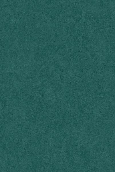 品番：NOVA82187407 品目：壁紙 規格：53cm×10m リピート：0cm or 53cmステップ柄 材質：(表)塩化ビニール　(裏)不織布 防火性能：不燃 シックハウス基準：F☆☆☆☆ 有効期限：〜2025年12月31日 コレク...