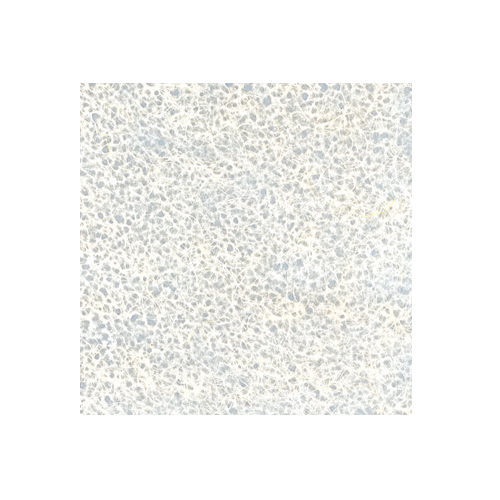 特長 　和紙の美しさはそのままに、耐久性や防炎性にも優れた装飾樹脂板。 　天然素材の和紙を塩化ビニール樹脂で両面からラミネートした耐久性に優れた和風樹脂板です。 　表面は拭き掃除が可能です。 　割れにくい、水洗い可能 　防炎製品認定品 ※受...