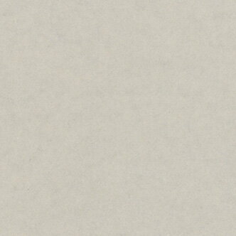 特長 　和紙の美しさはそのままに、耐久性や防炎性にも優れた装飾樹脂板。 　天然素材の和紙を塩化ビニール樹脂で両面からラミネートした耐久性に優れた和風樹脂板です。 　表面は拭き掃除が可能です。 　割れにくい、水洗い可能 　防炎製品認定品 ※受...