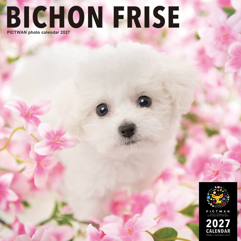色鮮やかな花々と植物に囲まれたビション・フリーゼの愛らしい子犬たちのフォトカレンダー！ 月ごとに変わるテーマカラーで、一年中お部屋を華やかに演出してくれます。 PICTWANカレンダー【L判】各種 送料無料！ ※北海道・沖縄は別途、地域別送...