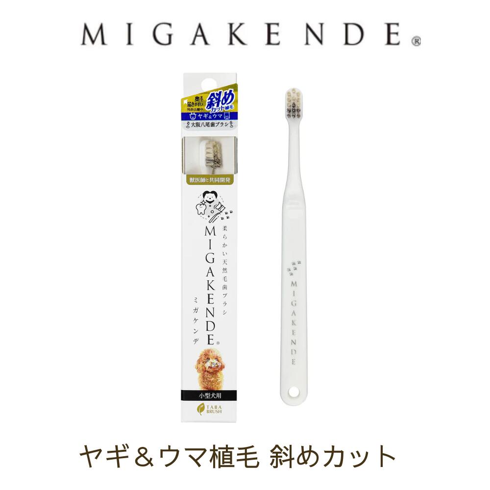 商品情報原材料柄の材質_ポリプロピレン毛の材質_天然毛サイズパッケージサイズ縦188mm×横30mm×奥行16mm本体サイズ縦149mm×横14mm×奥行12mm（ヘッド部分16mm）内容量1本原産国日本使用方法・愛犬の口に手を添えて、やさ...