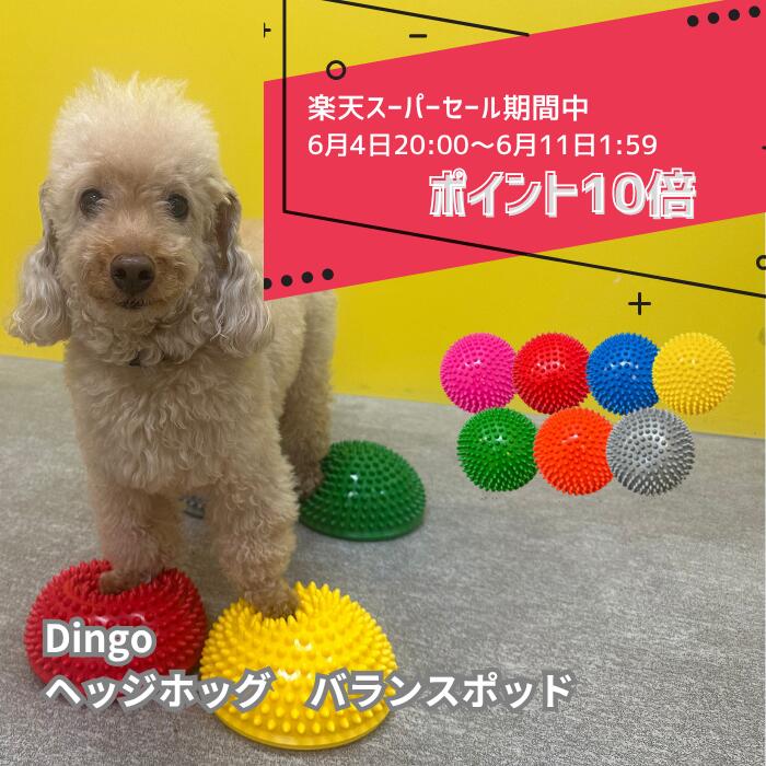 商品情報サイズ直径16cmの半円重さ260gその他商品説明※空気が入った状態でお届けいたします。個々のわんちゃんに合わせて空気量を空気入れにて調整して下さい。※空気入れは付属しておりません。Amazonなどで販売されているバスケットボールな...