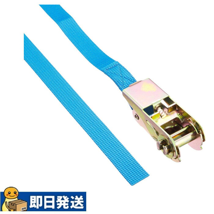 テザック (TESAC) ラッシングベルト R05N 040-000A 荷物を締め付けて固定するためのベルト荷締機 ラチェットバックル式、エンドレスタイプ 仕様 ベルト幅 25mm、厚さ 1.4mm 最大使用荷重 0.25t (250kg)...