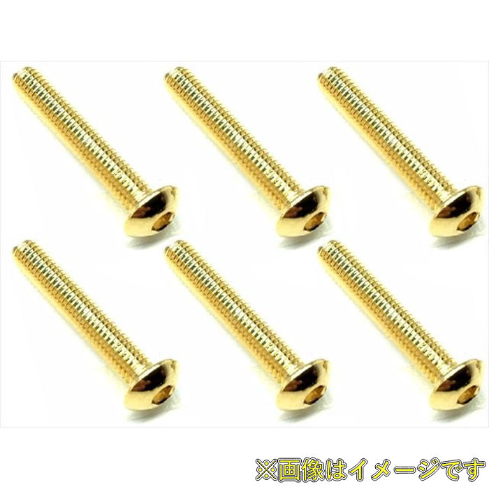 光沢のある24kゴールドメッキを用いたステンレスヘックスビスの各サイズ単品の発売です。強度もあり、目立ち度アップ！