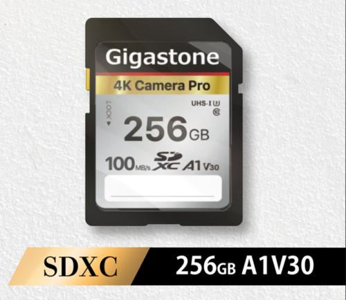 型番:GJSXR4K-256GV3A1JANコード:4573499582662●256GB●class10●SDXC●V30●U3●UHS-I●A1●アプリケーションパフォーマンス（A1スペック）●4K●Full HD●最大読み取り速度10...