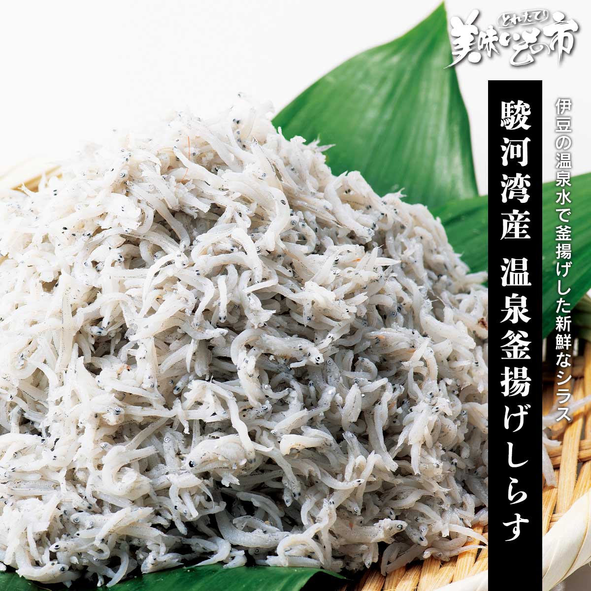 地元の食材は地元の水で旨くなる。ふんわりとした食感と旨みを味わう、釜揚げならではの美味しさです。春の訪い 旬を味わう 地元の食材は地元の水で旨くなる。ふんわりとした食感と旨みを味わう、釜揚げならではの美味しさです。 駿河湾産 温泉釜揚げしら...