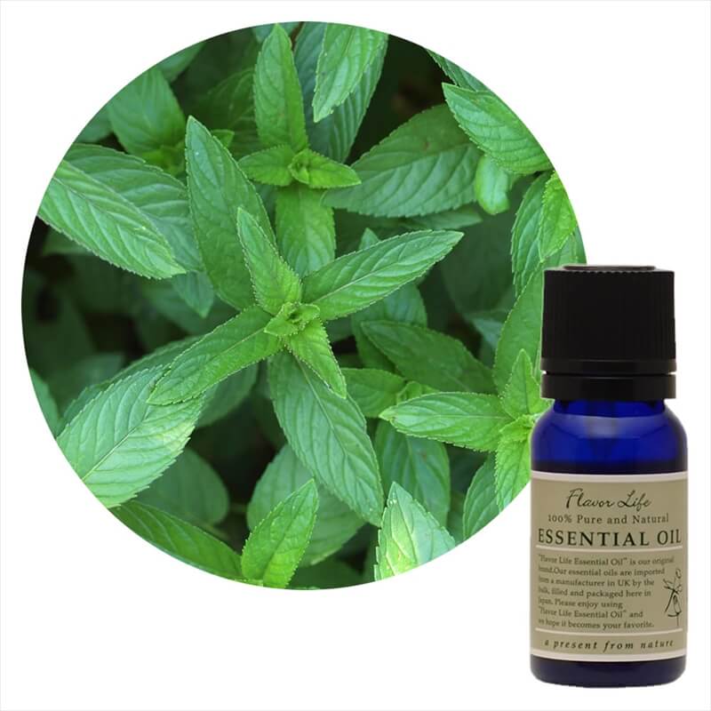 【ハーブ系】の清涼感のあるメントールの爽やかな香り。 【フレーバーライフ　エッセンシャルオイルについて】 国内外の品質にこだわった100％ピュア＆ナチュラルな精油(エッセンシャルオイル)を仕入れています。 海外からは英国Aromathera...