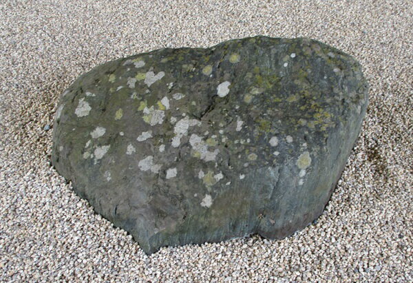 【送料無料】【簡単設置】伊予青石（自然石) 「庭石・景石」「コケ付」 *置きやすい様に下場平らに切っています。 *設置場所に凸凹面の無い様にご注意ください。 *青石特有の小キズに巣穴等あります。 【お庭造り応援いたします】 【造園・ガーデニ...