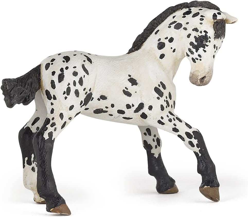 BLACK APPALOOSA FOAL/PCE 905051540