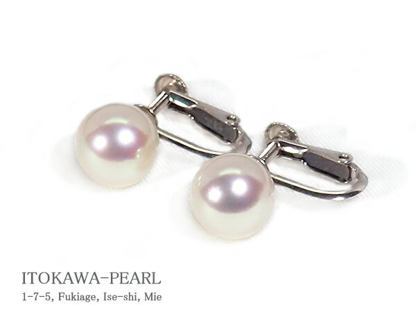 真珠の種類 あこや真珠 真珠の色 ホワイト系 (無調色) 真珠のサイズ 8.9mm 真珠の形 ラウンド 真珠のテリ A：とても良い 真珠の巻き A：厚い 真珠のキズ A：微～少ない 金具の素材 シルバー デザイン ネジバネ式 当社基準グレー...