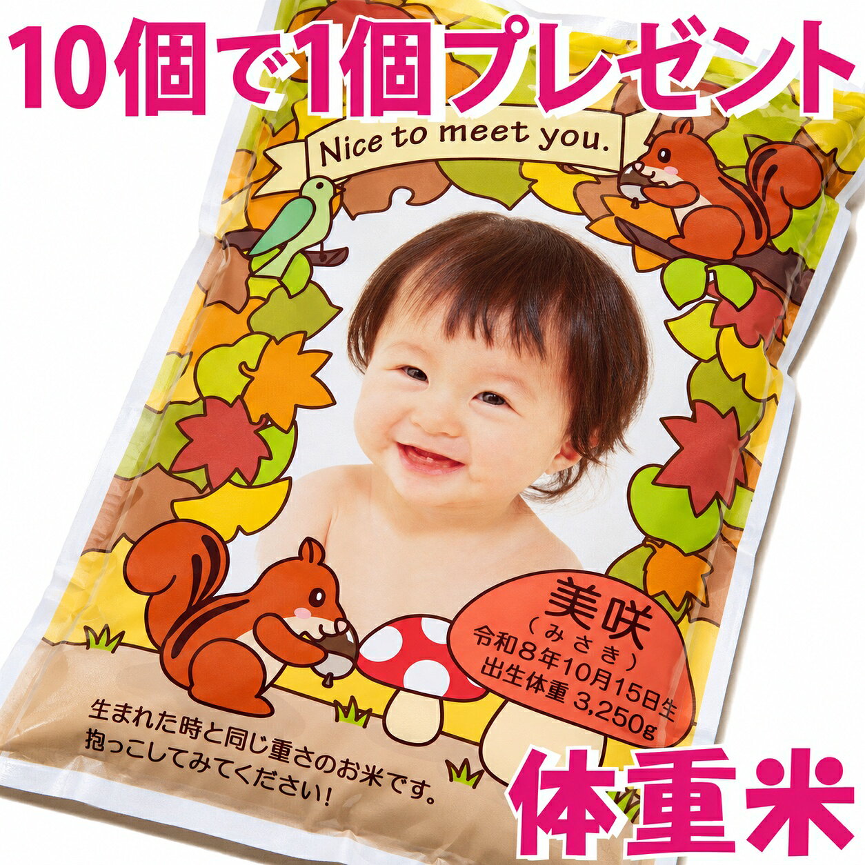 名称 精米 原料玄米 産地 品種 産年 単一原料米 新潟県産　コシヒカリ　令和8年産 内容量 米袋表紙に表示 精米時期 商品に同梱の別紙に記載