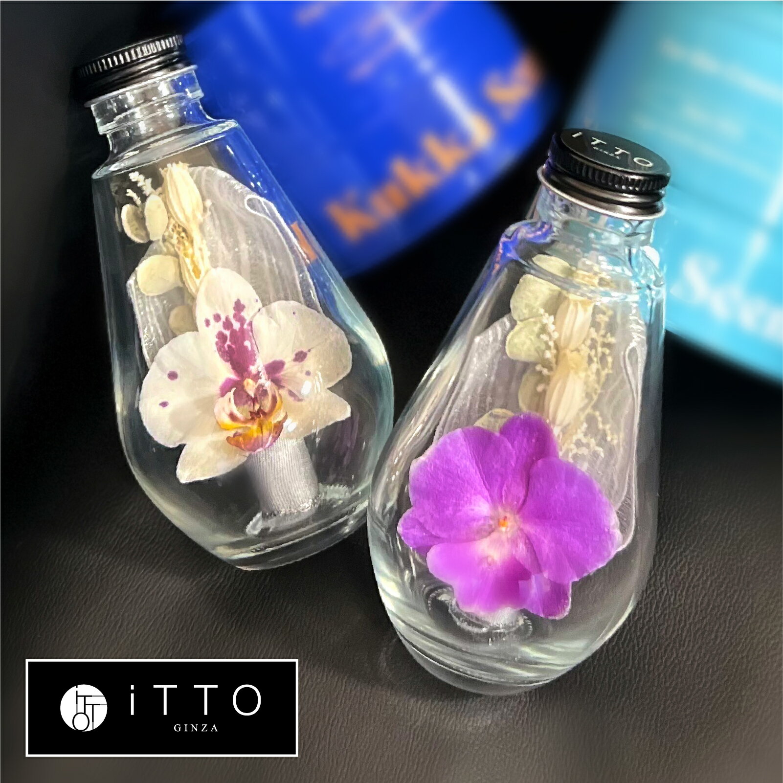 胡蝶蘭 ドライフラワー オリジナルギフト　誕生日 記念日 開店祝い お供え 仏花 ガラス BOTTLE FLOWER 胡蝶蘭 ドライフラワー オリジナルギフト 誕生日 記念日 開店祝い お供え 仏花 ガラス BOTTLE FLOWER 5
