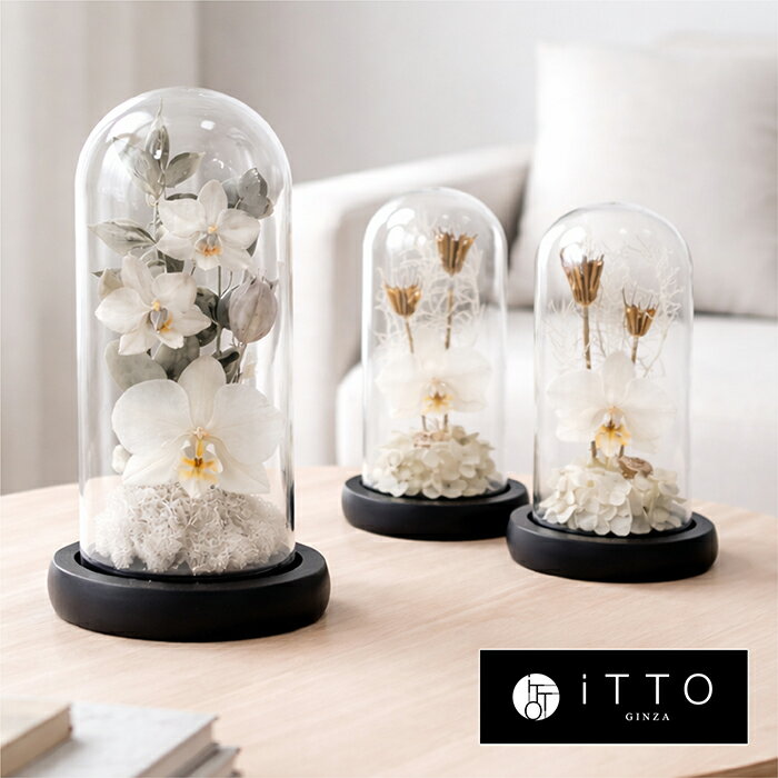 胡蝶蘭 ドライフラワー オリジナルギフト　誕生日 記念日 開店祝い お供え 仏花 ガラス BOTTLE FLOWER LEDライト 胡蝶蘭 ドライフラワー オリジナルギフト 誕生日 記念日 開店祝い お供え 仏花 ガラス BOTTLE FL...