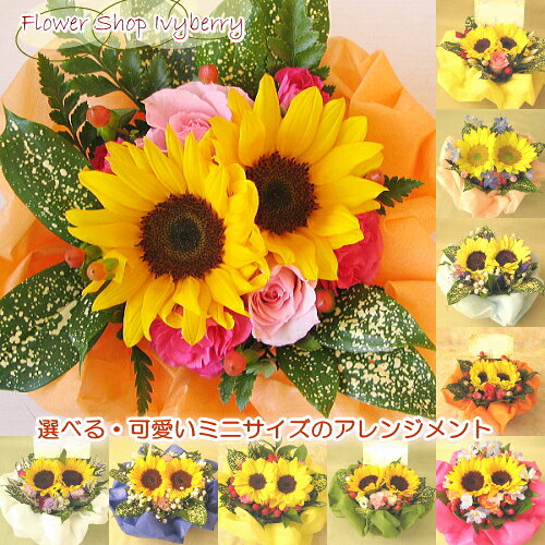 ・小さめサイズ、可愛らしいイメージのアレンジメント（花かご）です ・手に取りやすいサイズ感とお手頃価格 ・初めて当店をご利用いただく方にも気軽に選んでいただける人気の花かご ・お誕生日やちょっとしたお祝いなど用途に合わせてアレンジ ・お供え...