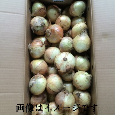 商品説明 品名 新玉ねぎ 産地 愛知・長崎県他産地 規格 M 10kg 保存方法 直射日光の当たらない常温保存 備考 商品画像はイメージです 関連商品【本州 送料無料 税込】愛知・長崎産他 新玉ねぎ L 10kg ｜ た...【送料無料】北...