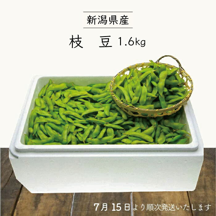 商品情報 商品名 枝豆 1.6kg (新潟産) 産地 新潟県産 内容量 枝豆　1.6kg 規格・サイズ 約1.6kg（800g×2袋） 配送方法 本州送料無料・ クール便 ＊北海道・九州は別途400円・沖縄・離島は、別途1,800円 発送・...