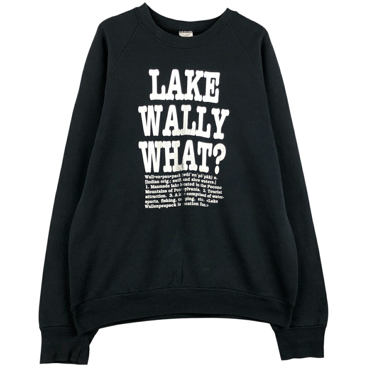 商品詳細 ブランド・FRUIT OF THE LOOM・フルーツオブザルーム・ 特徴・クルーネック(丸首）・ヴィンテージ・長袖・ラグランスリーブ・ モデル/形状・プリントスウェットシャツ トレーナー・ 素材・コットン:50%・ポリエステル:...