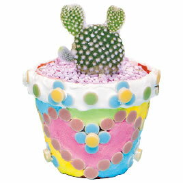 【イージャパンモール】 必ず2通目のメールをご確認ください。※商品はご注文（ご決済）後、2-3営業日で発送（土・日・祝日除く）となります。※配送業者と契約がないため、送付先が北海道・沖縄・離島の場合キャンセルとさせていただきます。※発送予定...