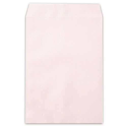 【代引不可】【イージャパンモール】【返品・交換・キャンセル・日時指定不可・法人（会社・企業）様限定】 必ず2通目のメールをご確認ください。 ※本商品は熨斗・包装（ラッピング）はお承り出来ない商品となります。 ※本商品はお届け先様名が法人（企...